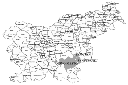 osnovni podatki mestna obcina novo mesto seidlova 1 si 8000 novo mesto ...